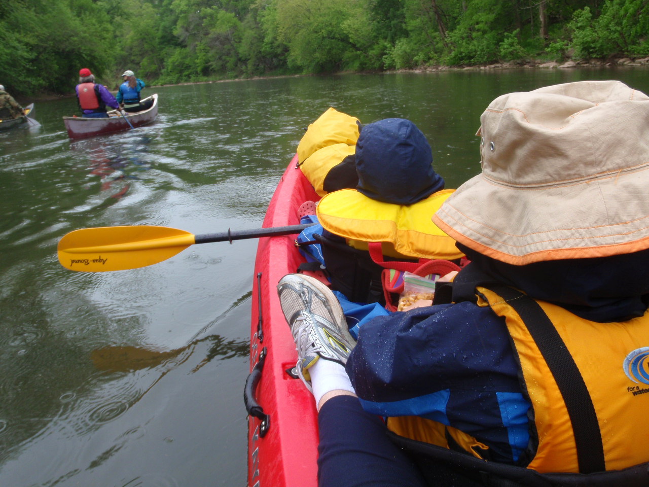 Blunoz Random Ramblings: Paddle Log #13: Monocacy River Bluebells