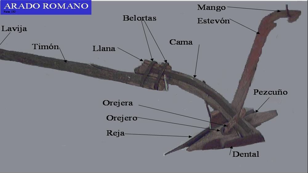 asociación de vecinos y amigos de VELLOSILLO: Descripción detallada del ...