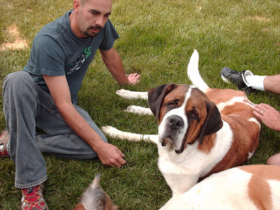 Eric's ForrestFire Life: A Beautiful Saint Bernard: Boozer