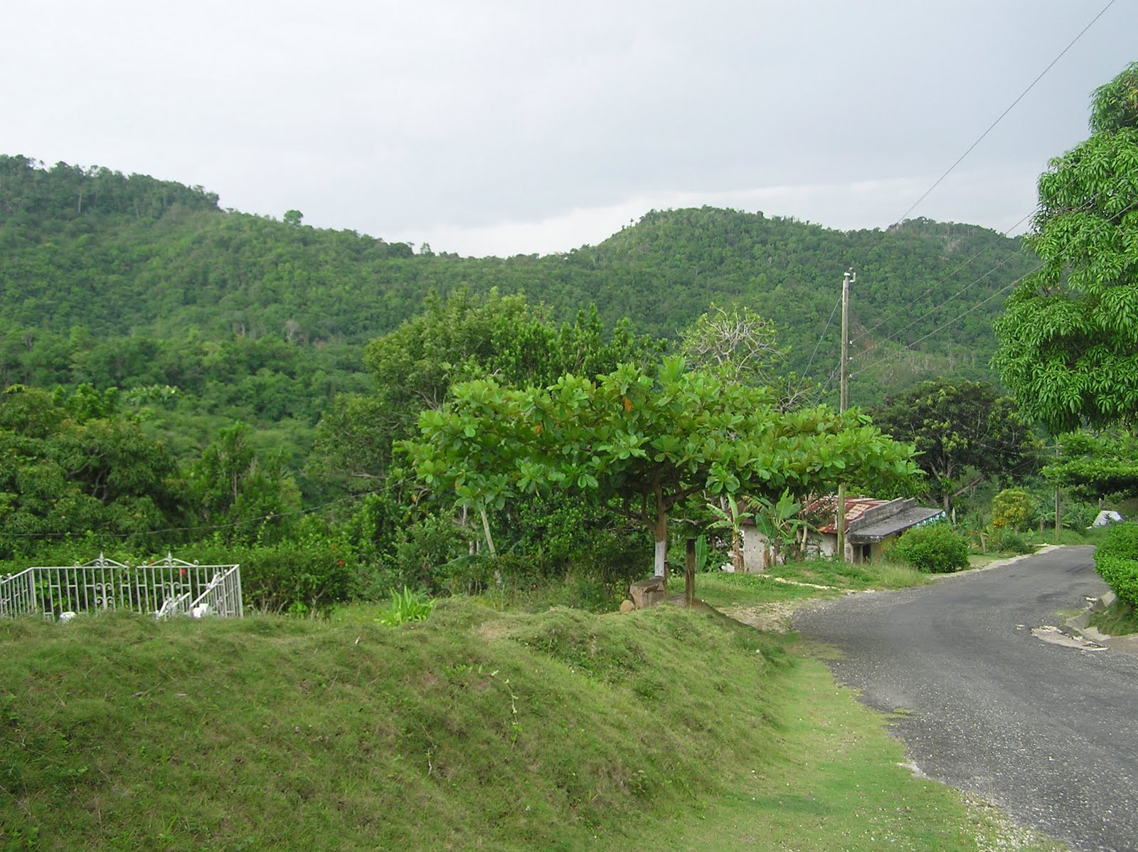 In and around Jamaica, W.I.: Accompong, Jamaica.....