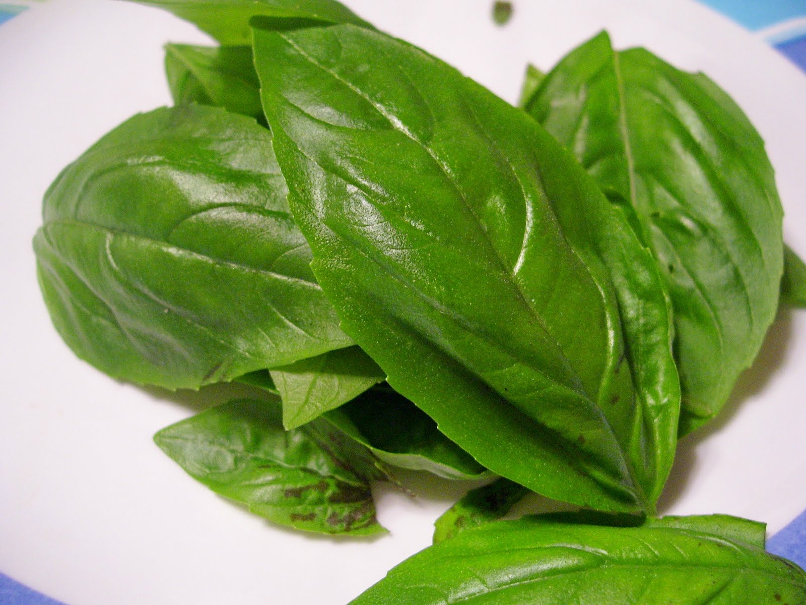 Canonchef: Fried Basil