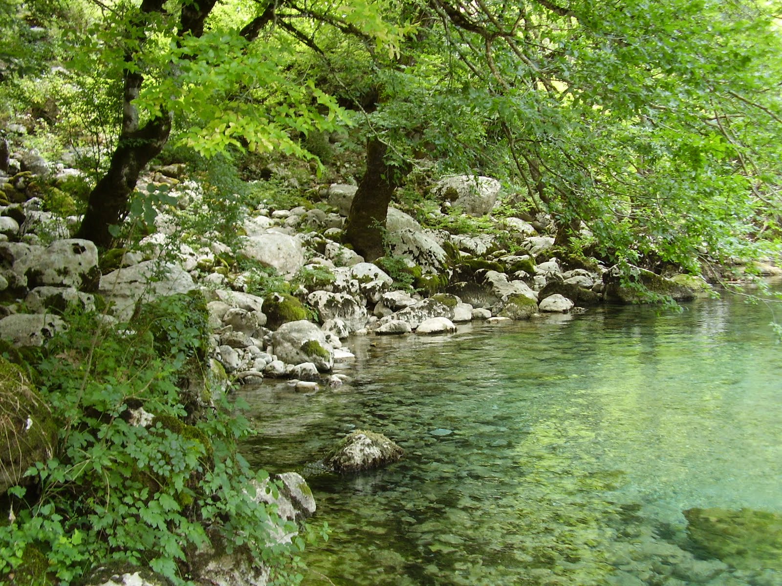 οδοιπορικο ψυχης