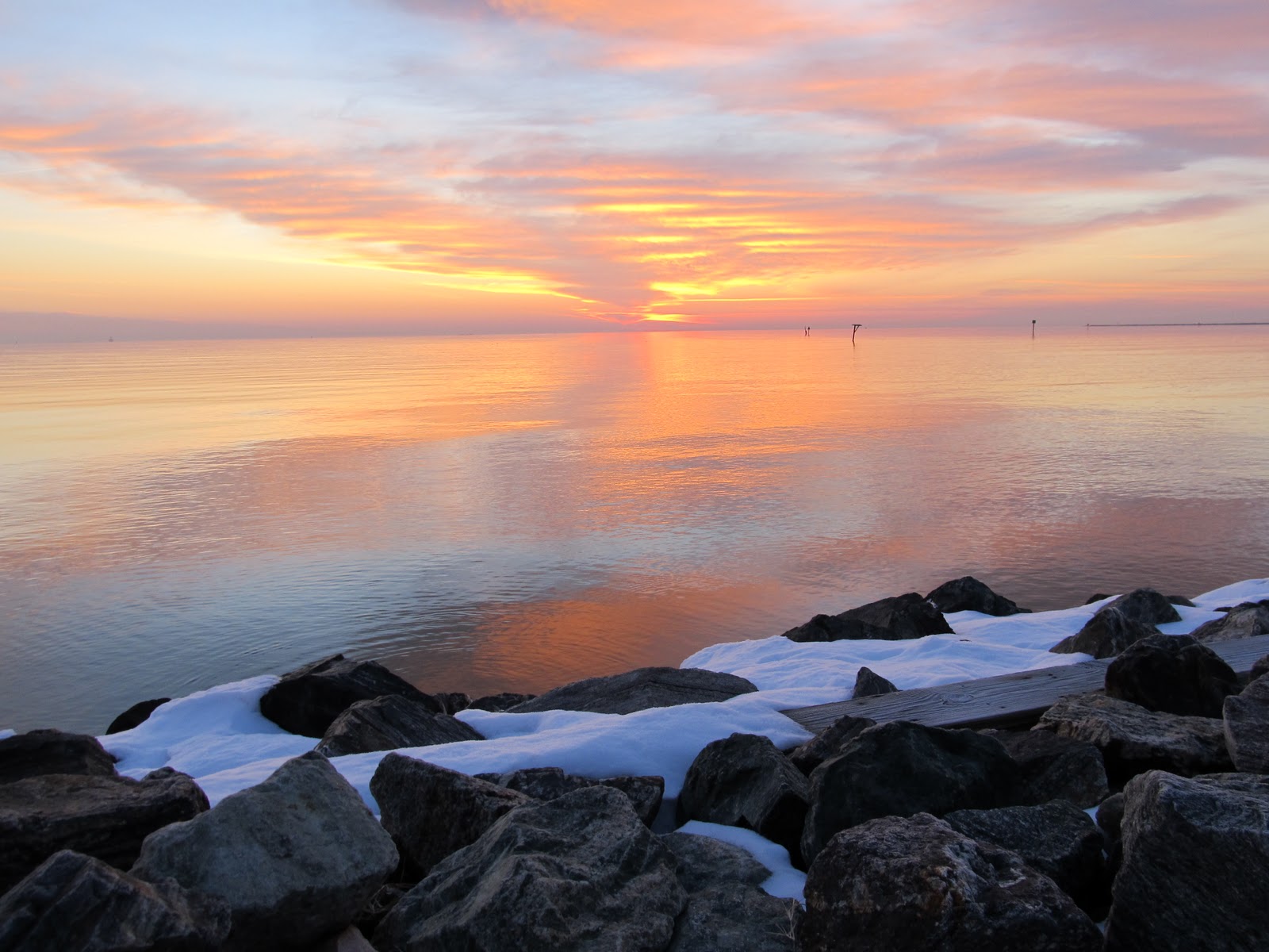 BirdsEyeViews: Northern Neck, Virginia Birds and Sights