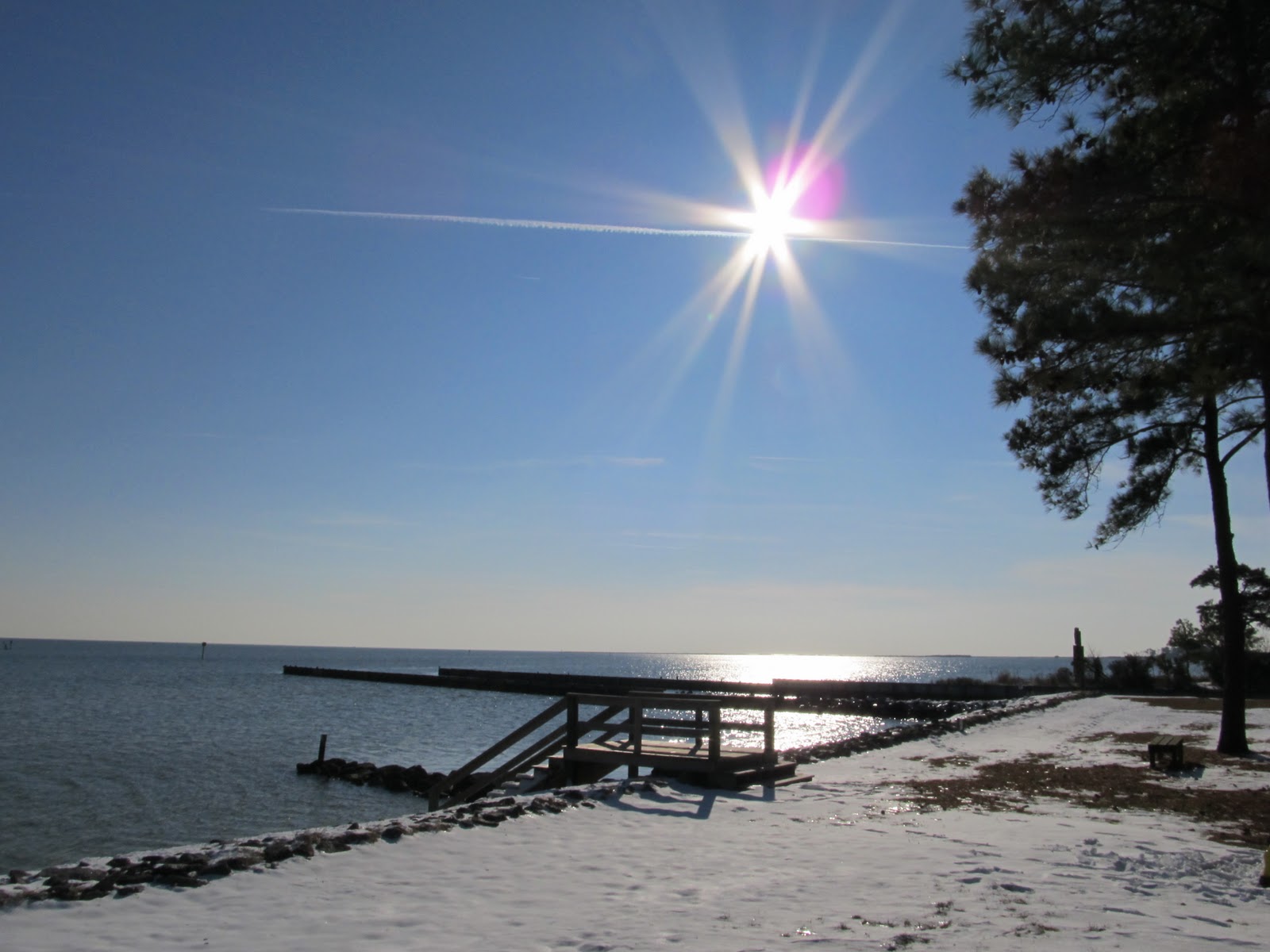 BirdsEyeViews: Northern Neck, Virginia Birds and Sights