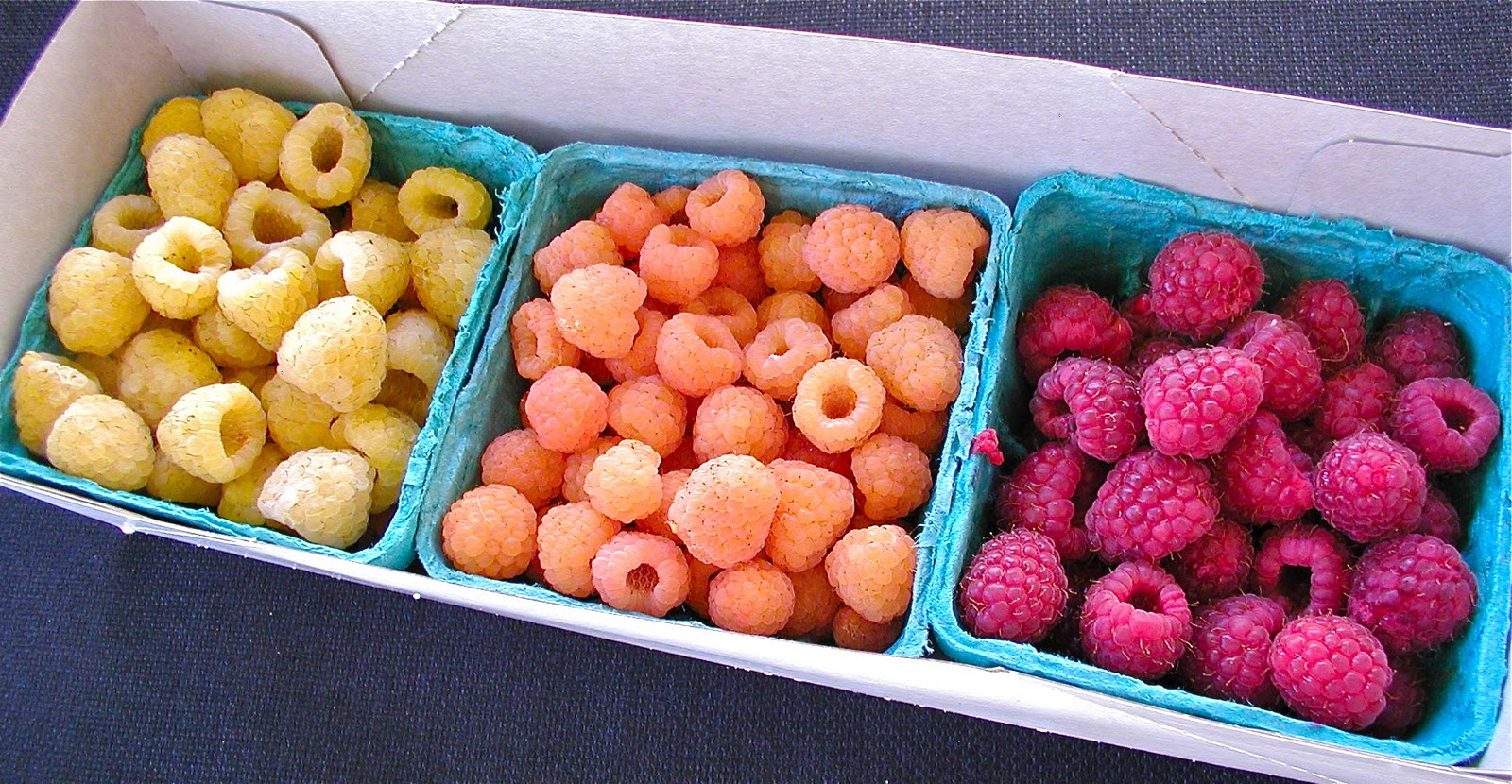 Getting Raw: The Berryman Cometh