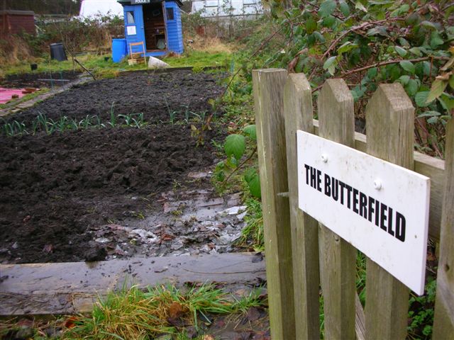 The Green I Signs Blog: www.bbc.co.uk doctor who tardis signs by duncan ...