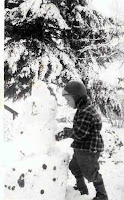 AP Literature!: "The Snow Man"-Wallace Stevens #283