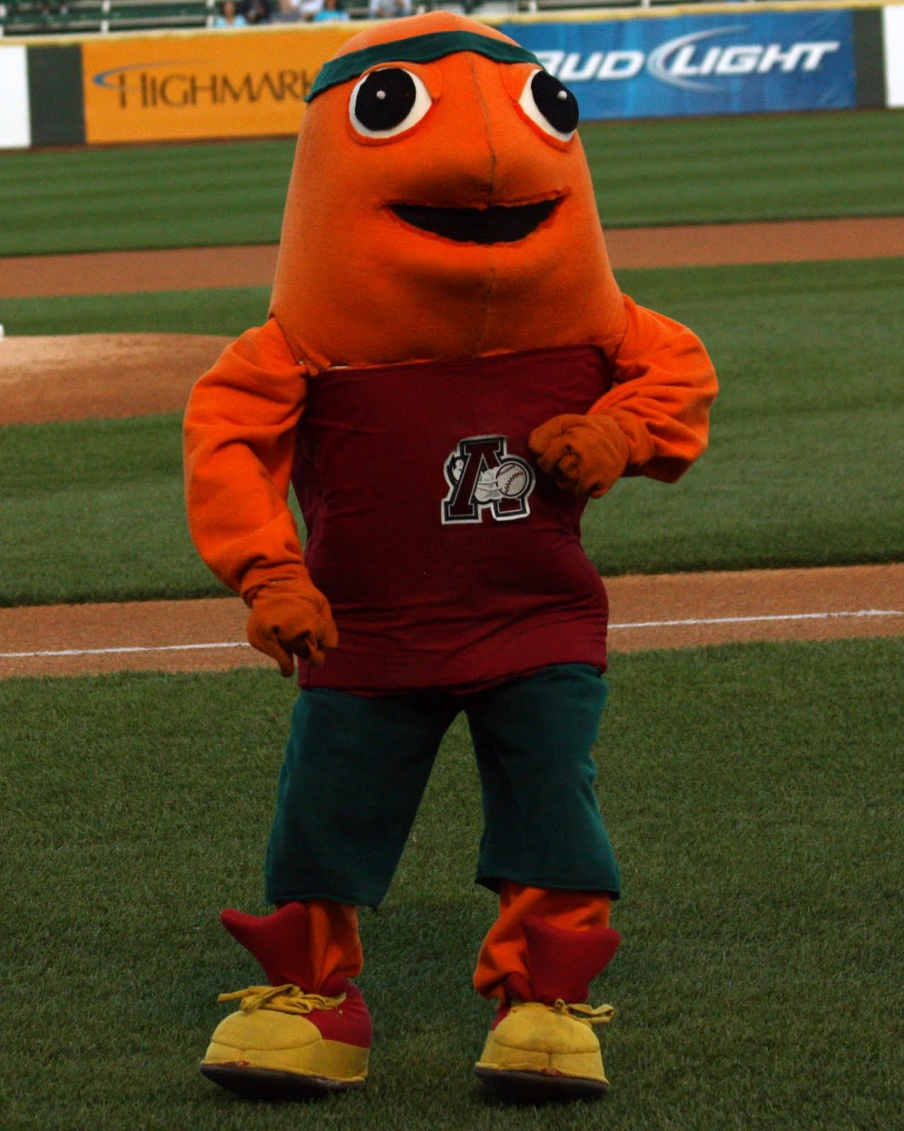 Brendan's Baseball Blog: 6-10-10: Altoona Curve vs. Harrisburg Senators