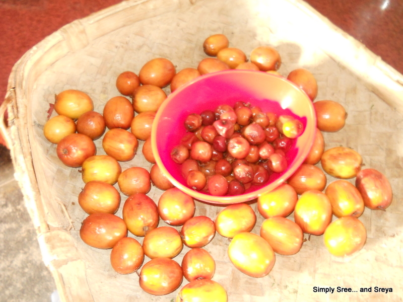 Life in Pictures: December 23 - Pulla Regi Pallu