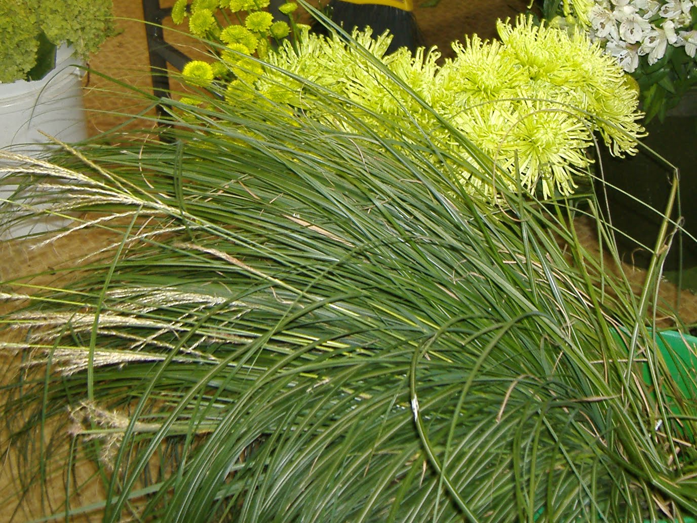 Jack Jones Flowers & Gifts