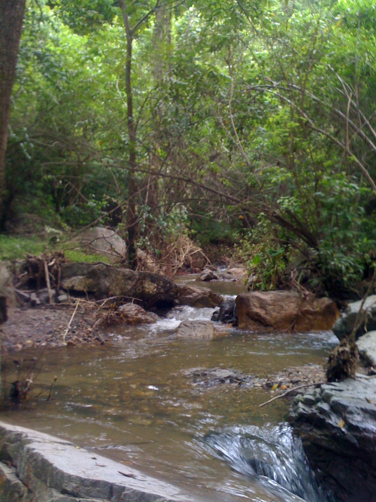 CALIHUALA OAXACA: CALIHUALA OAX. GUAUUUU QUE LUGAR TAN BONITO EN CALIH
