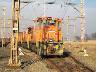 South African Railway News: Leeuhof yard