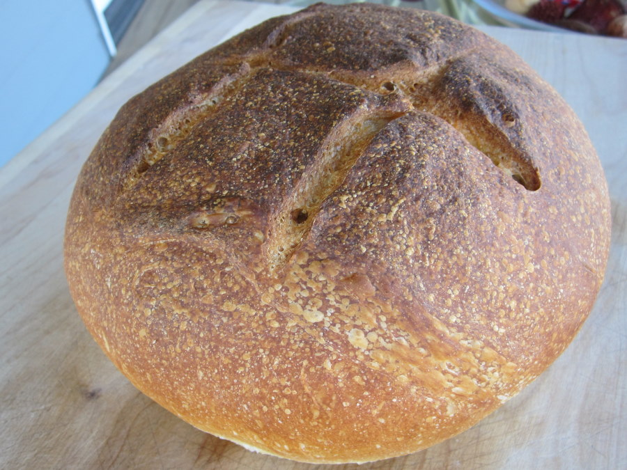 hardly starving | vegetarian cooking: Basic hearth bread