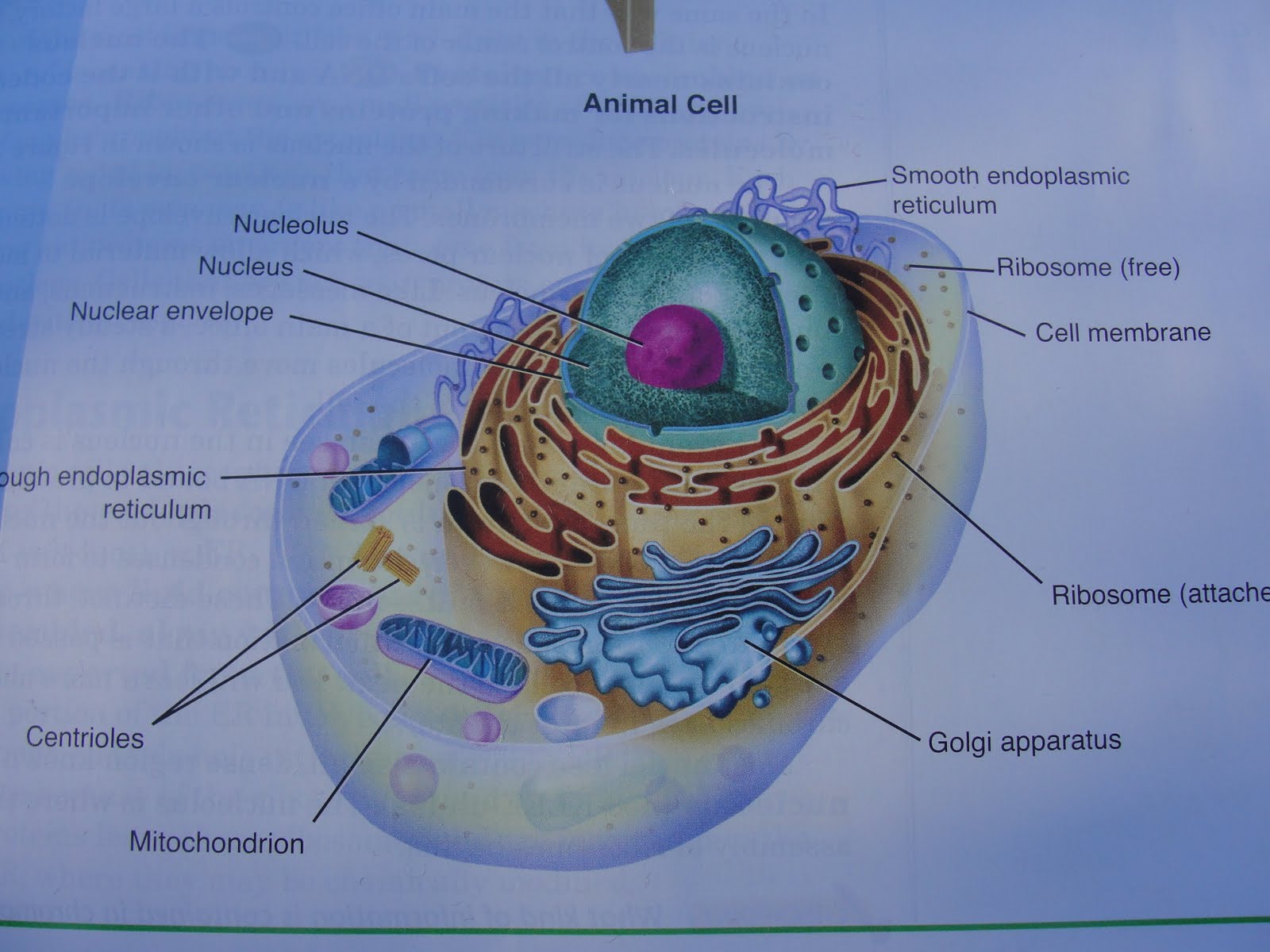Art Spirit: September 2010