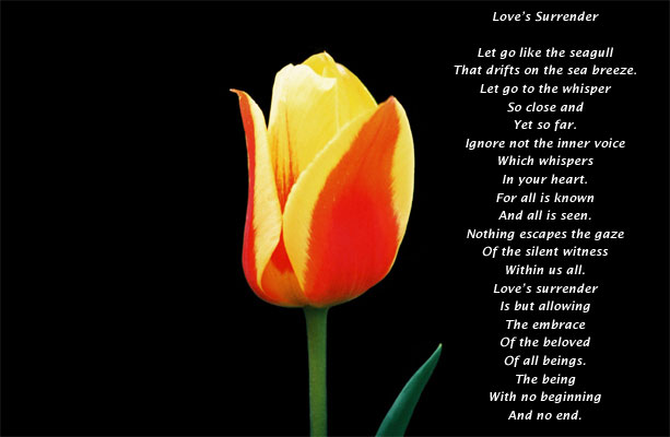 Love's Surrender