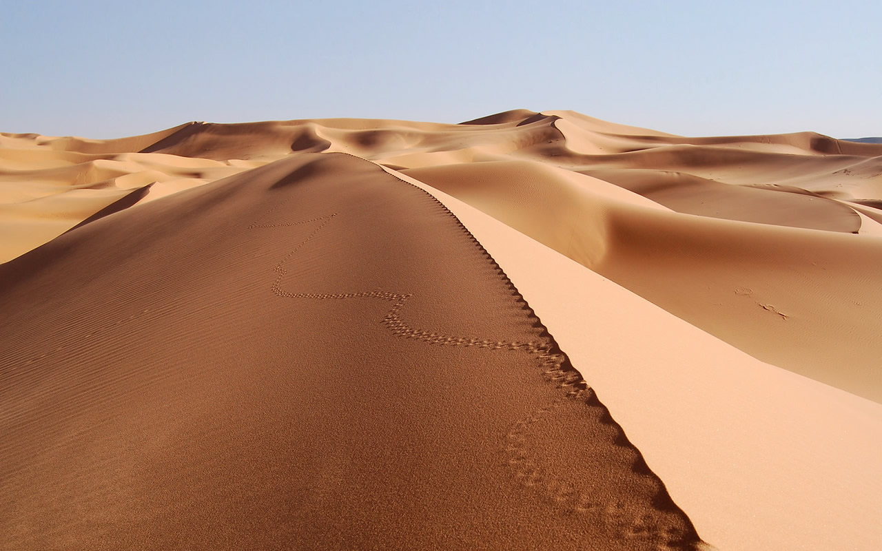 Gambar Pemandangan Gurun Pasir | wallpaper