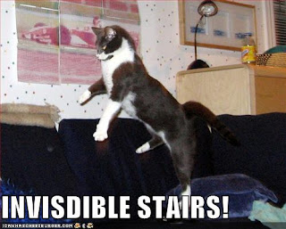 Daily LOLcat: Invisible LOLcats!