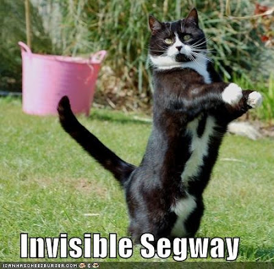 Daily LOLcat: Invisible LOLcats!