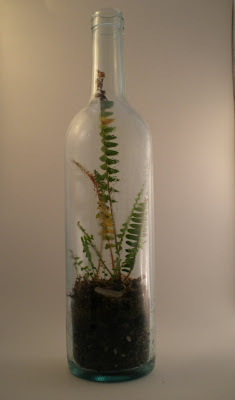 The Fern and Mossery: Wine Bottle Terrarium