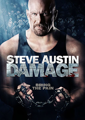 The Digital Transformer: Steve Austin and Damage
