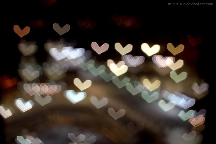 Pip's Perspective: i heart photography!