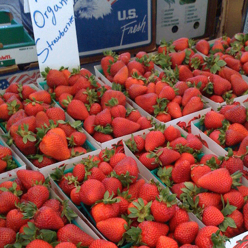 Coco-Zen: Organic Raspberry & Strawberry Meet Fair Trade Dark Chocolate ...