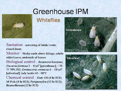 University of Delaware Cooperative Extension, Kent Co., Commercial ...