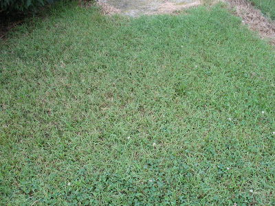 University of Delaware Cooperative Extension, Kent Co., Commercial ...