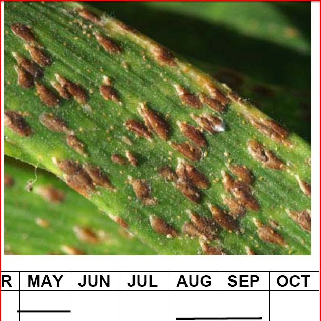 University of Delaware Cooperative Extension, Kent Co., Commercial ...