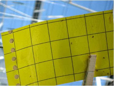 University of Delaware Cooperative Extension, Kent Co., Commercial ...