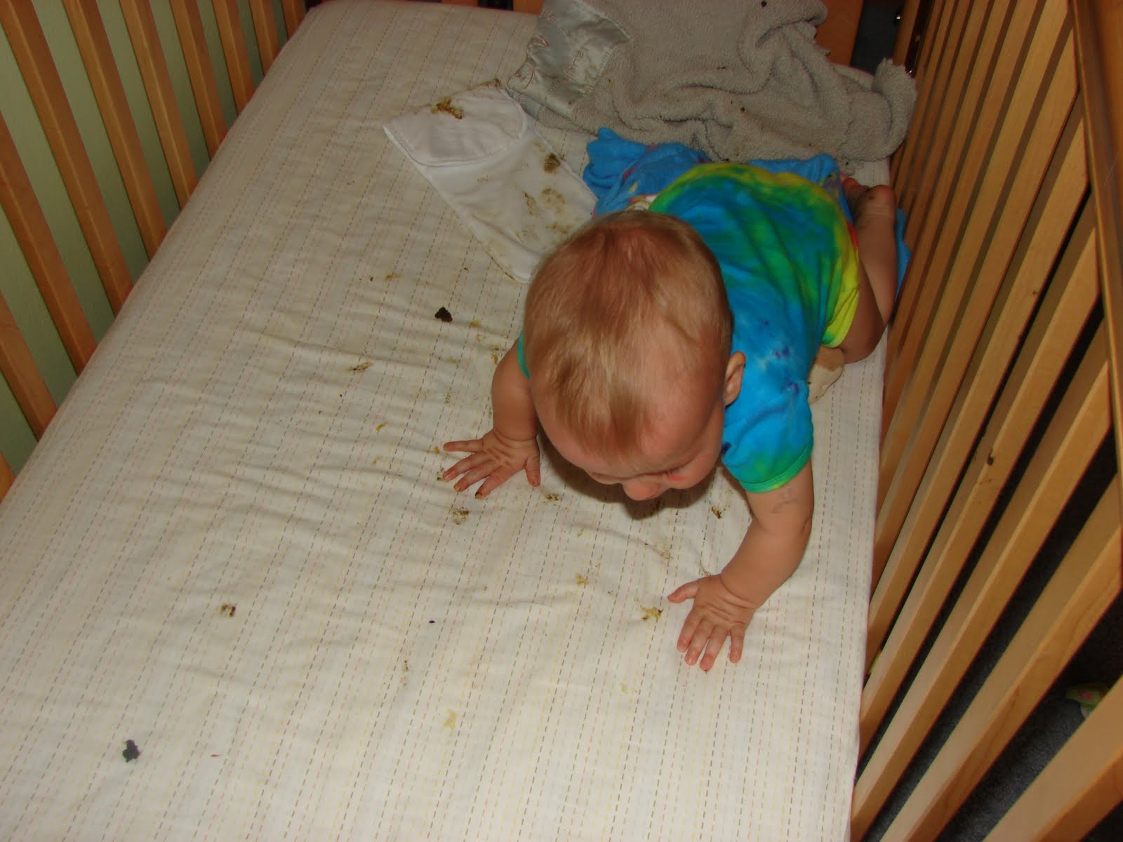 365 Days in a Roe: Poop Painting