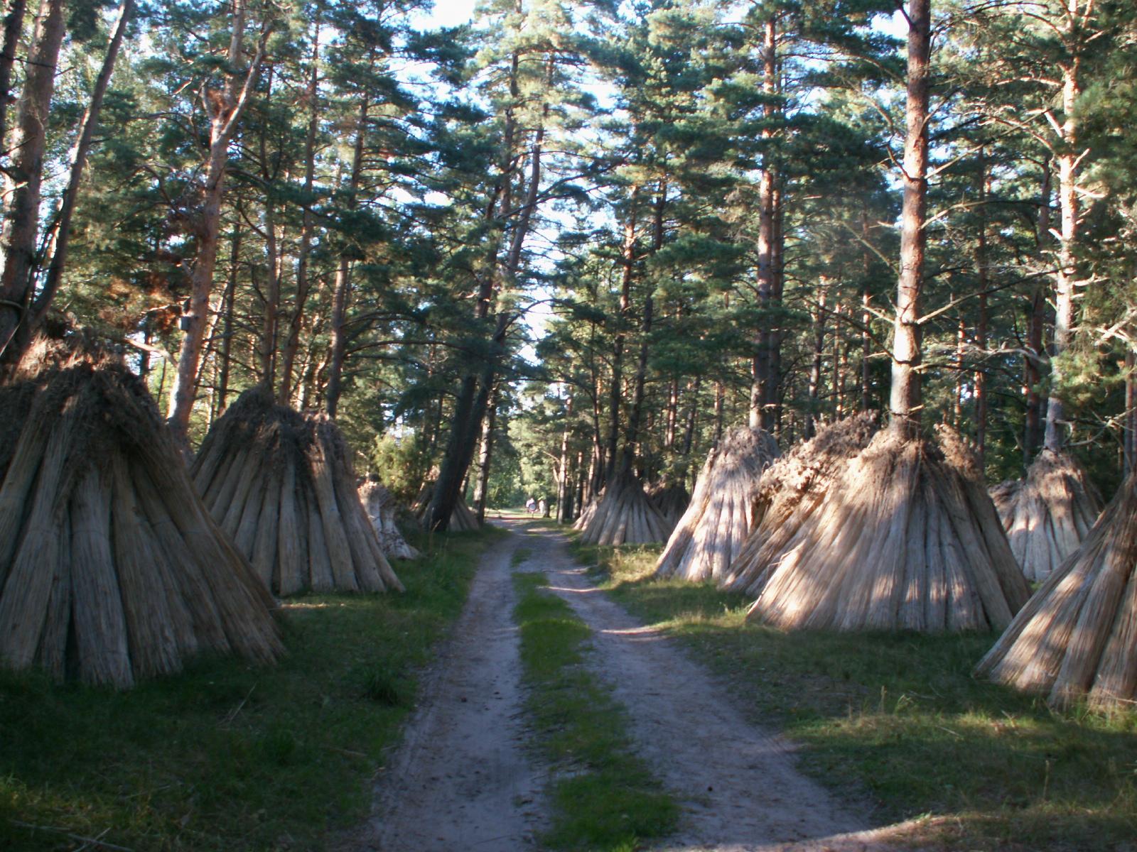 Ceļošana LV: Engures ezera dabas parks