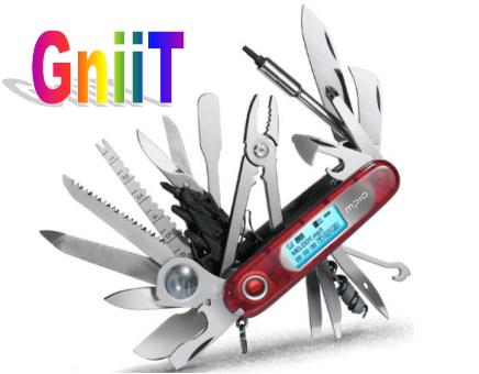 Advantage of GNIIT, Future in GNIIT | SEO Training in Delhi - Call ...