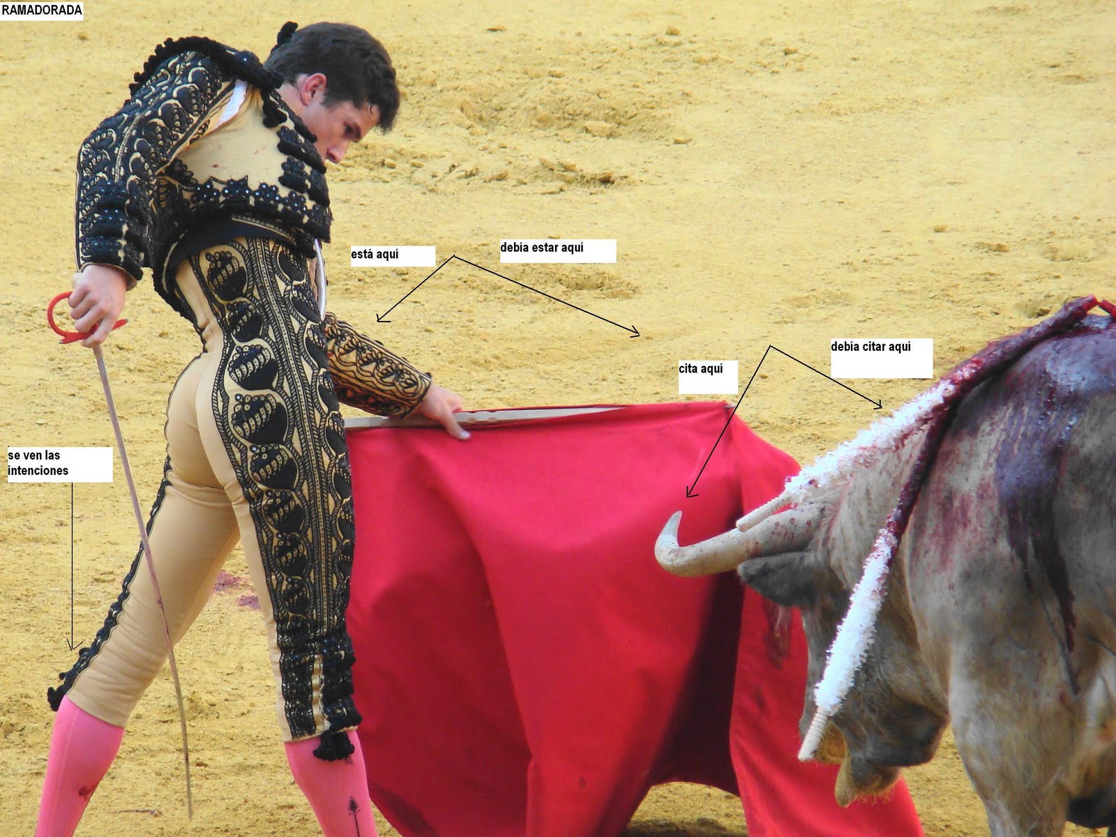 Aula Taurina de Granada: Granada. Corrida de toros. 4/6/2010