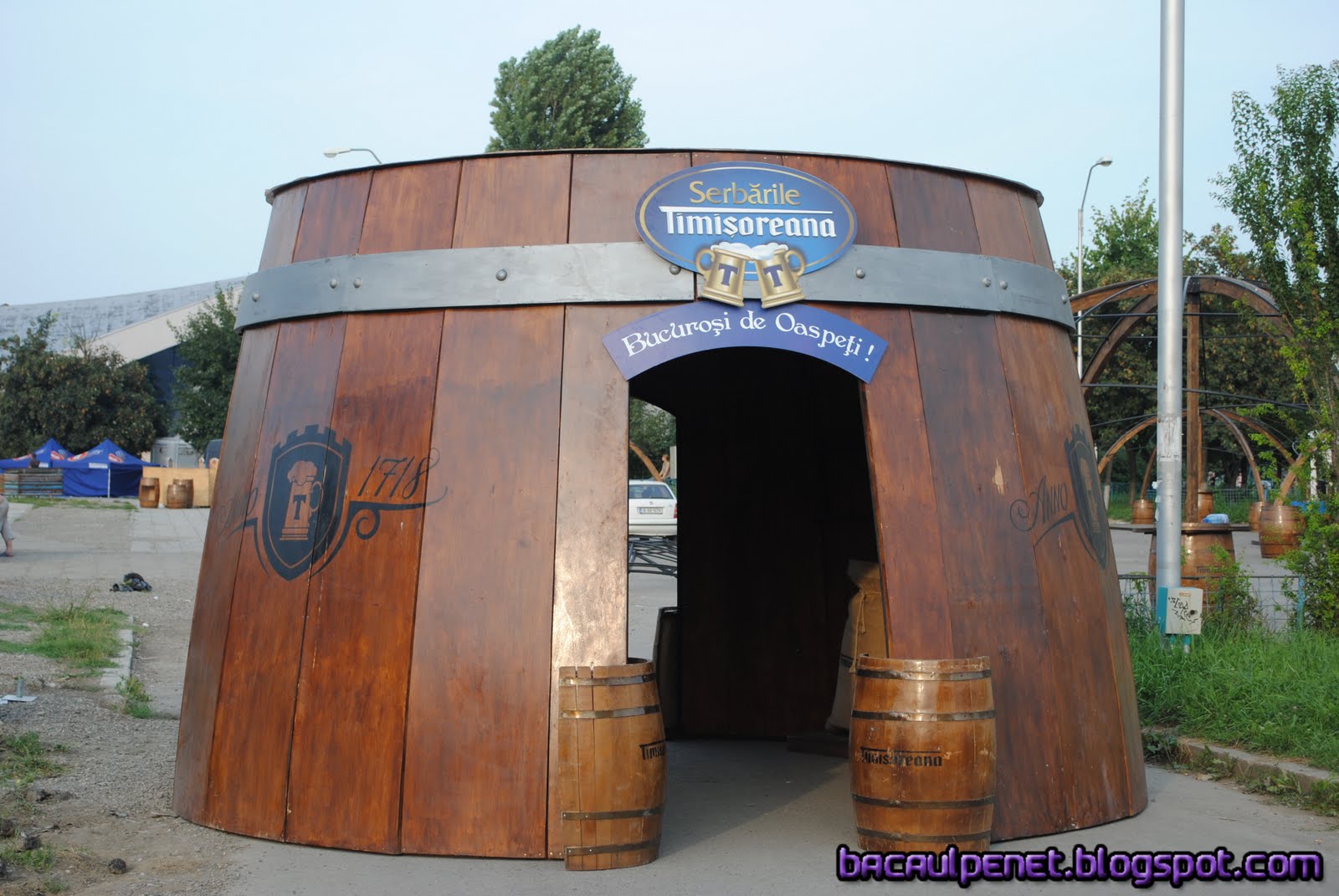 Se pregatesc Serbarile Timisoreana ! ~ Bacaul pe Net