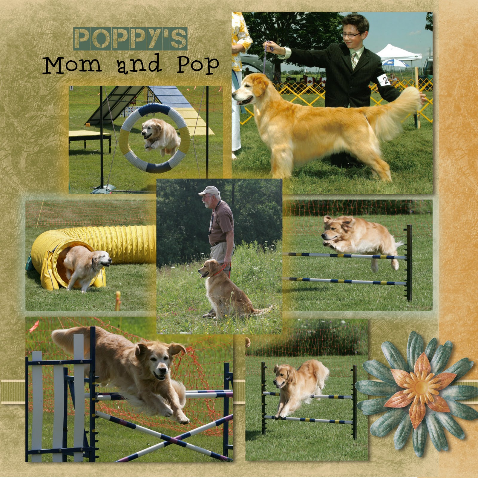 Power of the Flower: Poppy's Mom and Pop