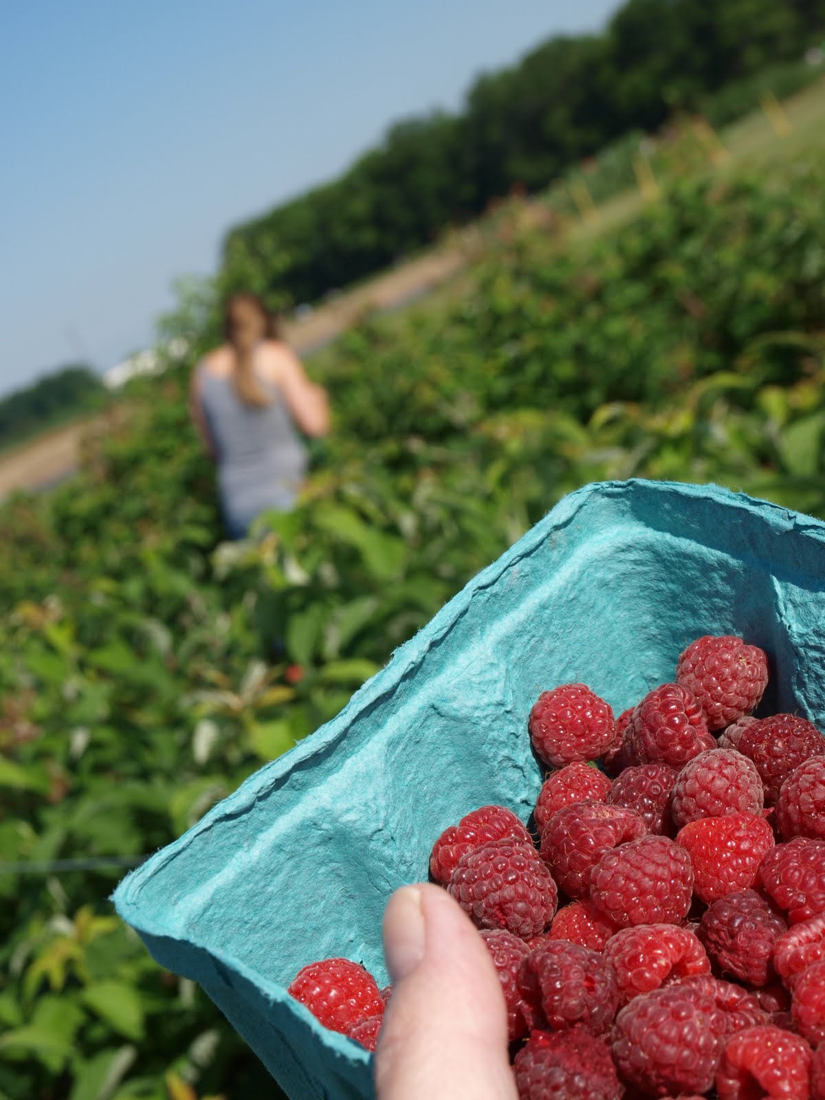 Ohio Thoughts: Choosing a Farm Market and Making Jam