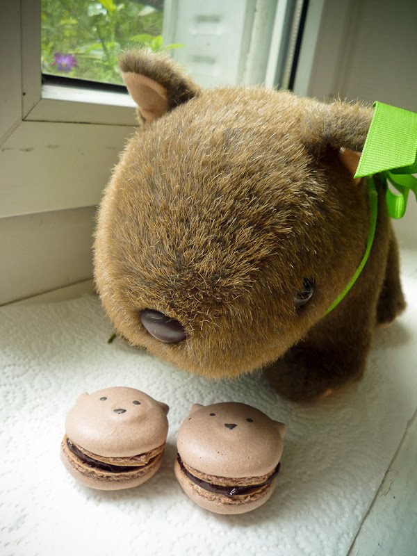 Macaron Fetish: Mactweets MacAttack 8 Entry - Wombat Macarons with Dark ...