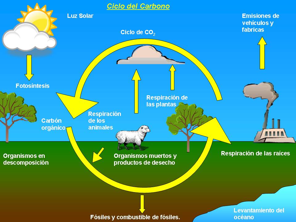 ecologia: ciclos atmosfericos