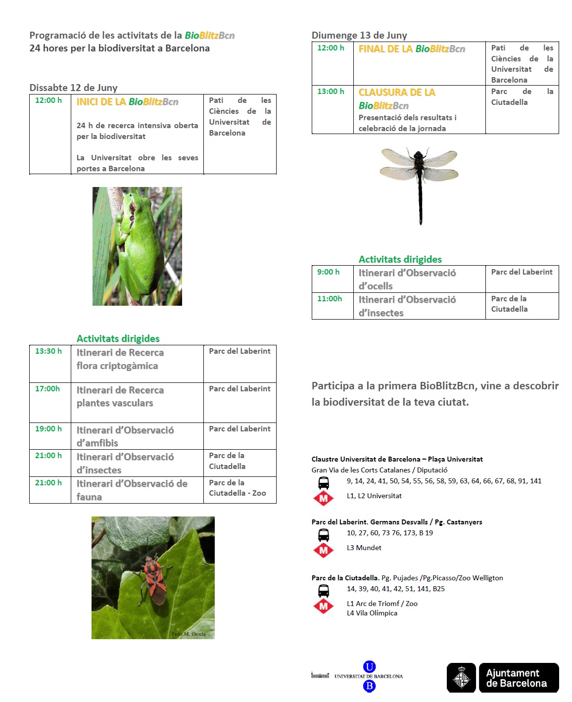 BioBlitzBcn2010: 2010-04