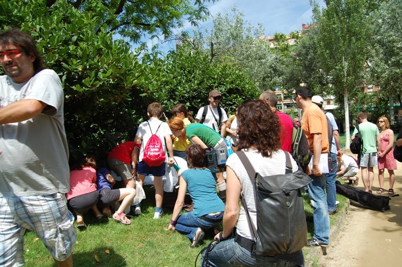 BioBlitzBcn2010