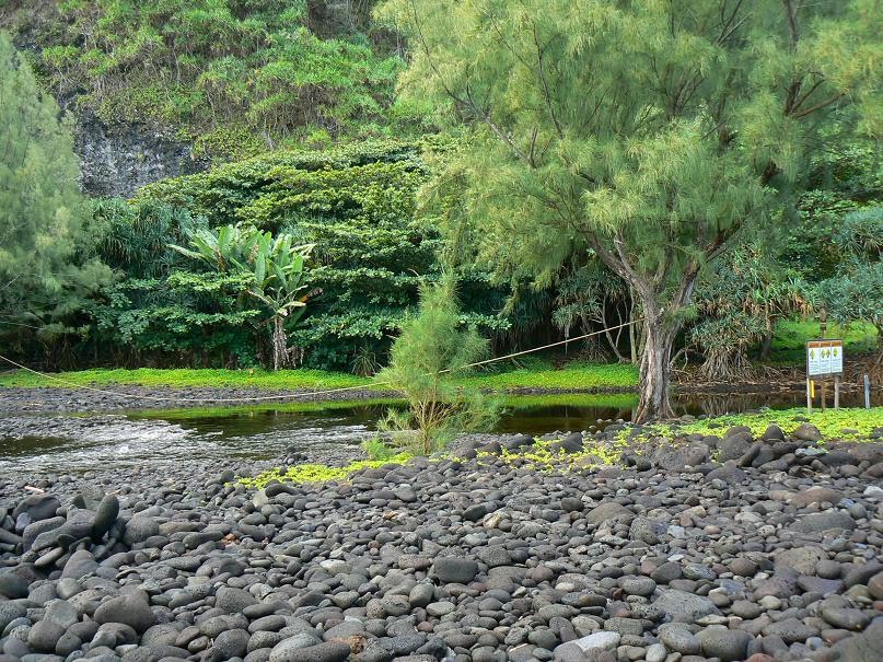 Waipio to Waimanu Valley - A Big Island Backpacking Adventure