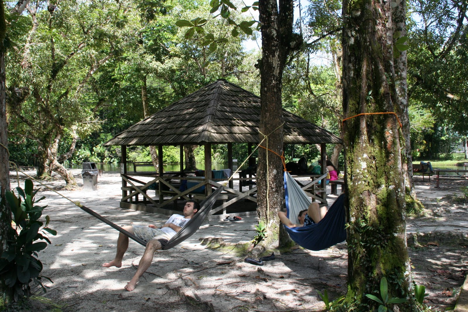 Sunny Suriname!: Colakreek