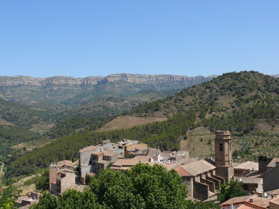 Els vins del Bonviure: 3ª Nit dels Vins de Torroja del Priorat