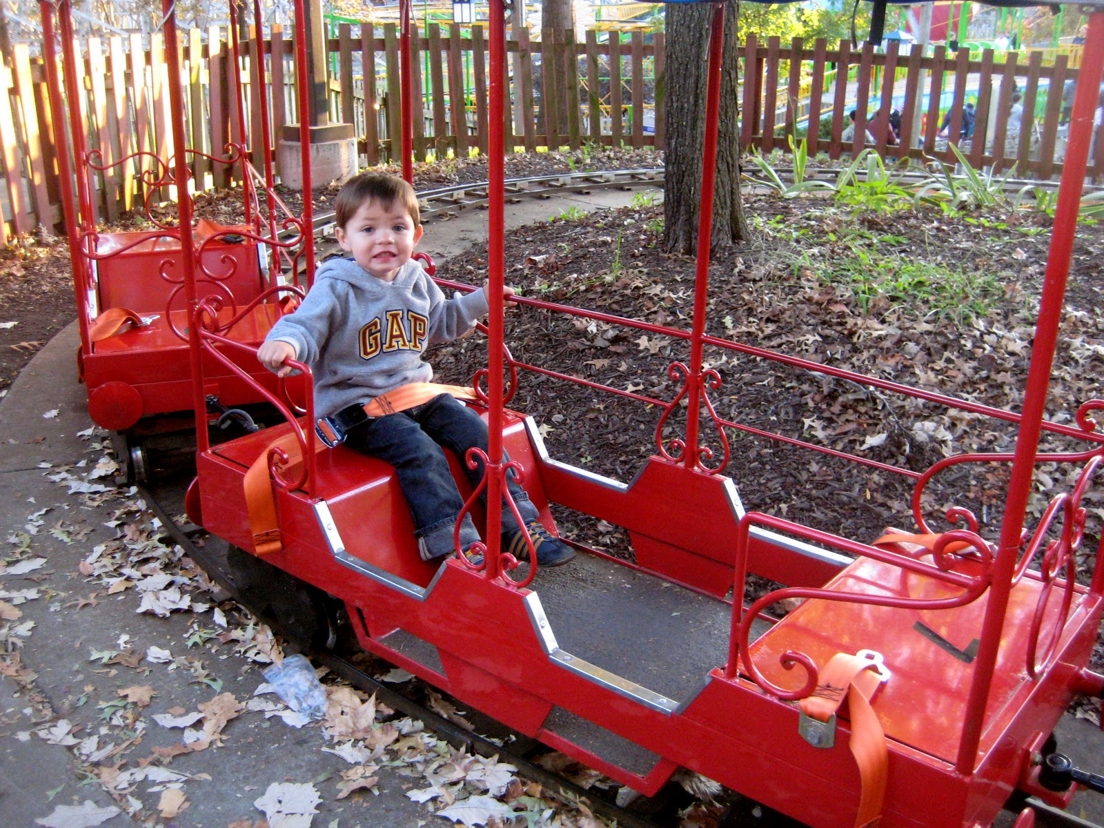 The Davis Family: Worlds Of Fun