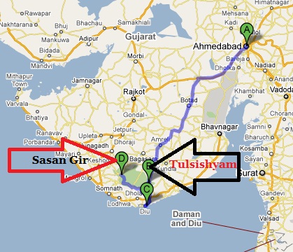 Tulsishyam & Sasan Gir Forest.. - Gir Forest - Only One Place Of ...