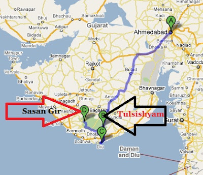 Tulsishyam & Sasan Gir Forest.. - Gir Forest - Only One Place Of ...