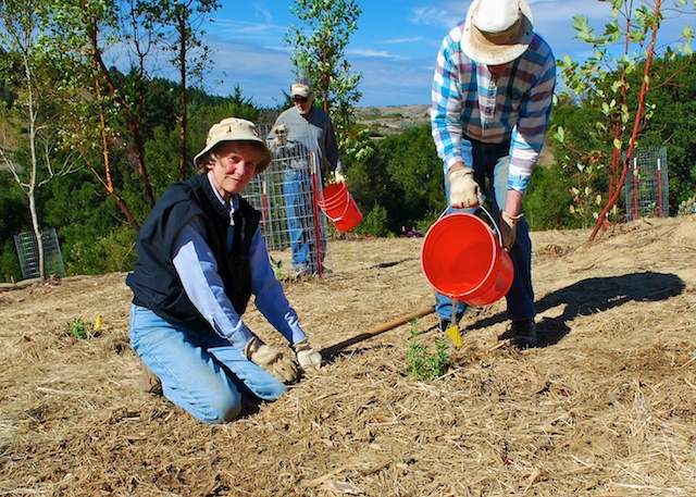 Dipper Ranch: Denning