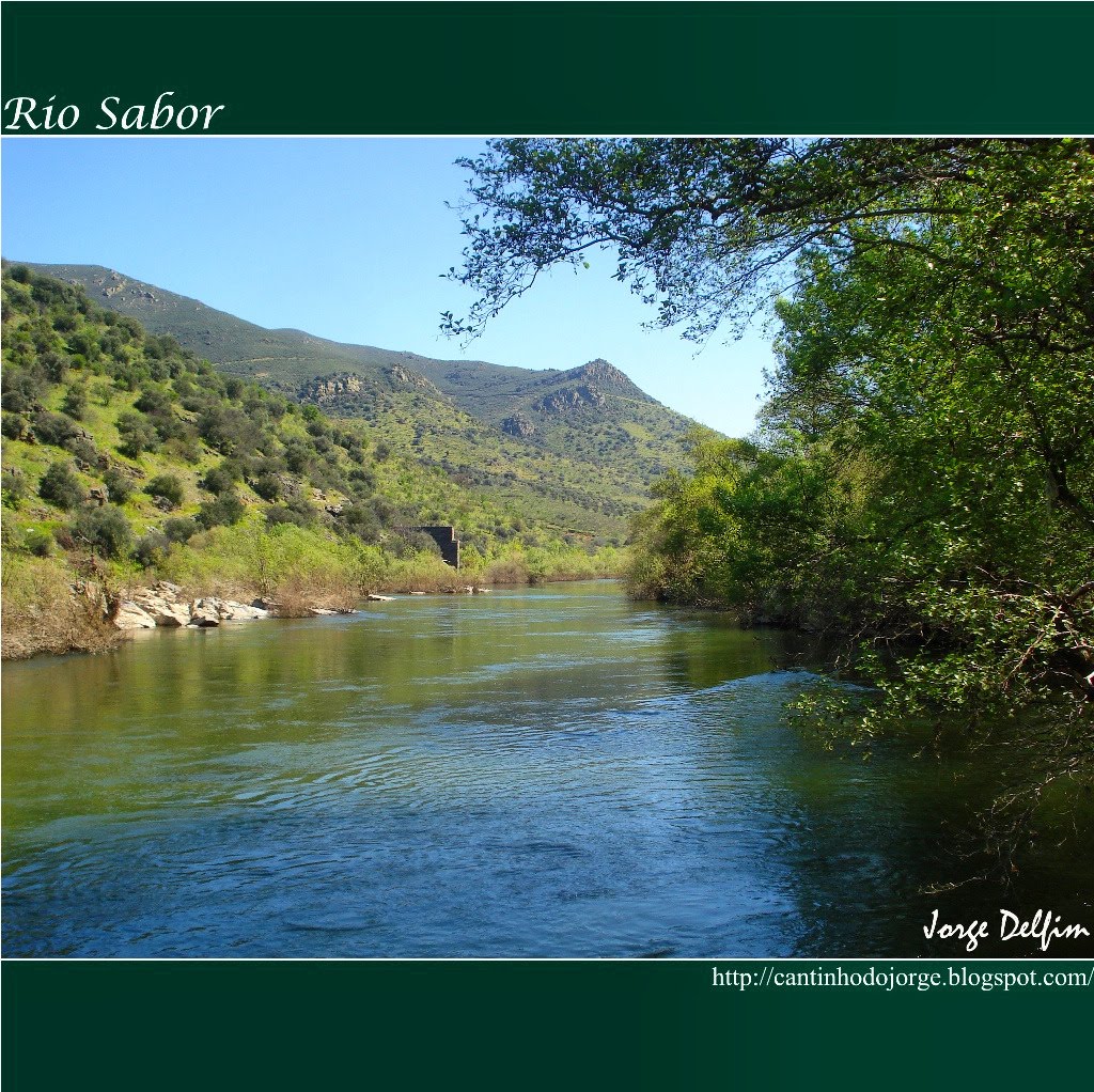 O CANTINHO DO JORGE: Procurando os encantos do Sabor por terras do Felgar