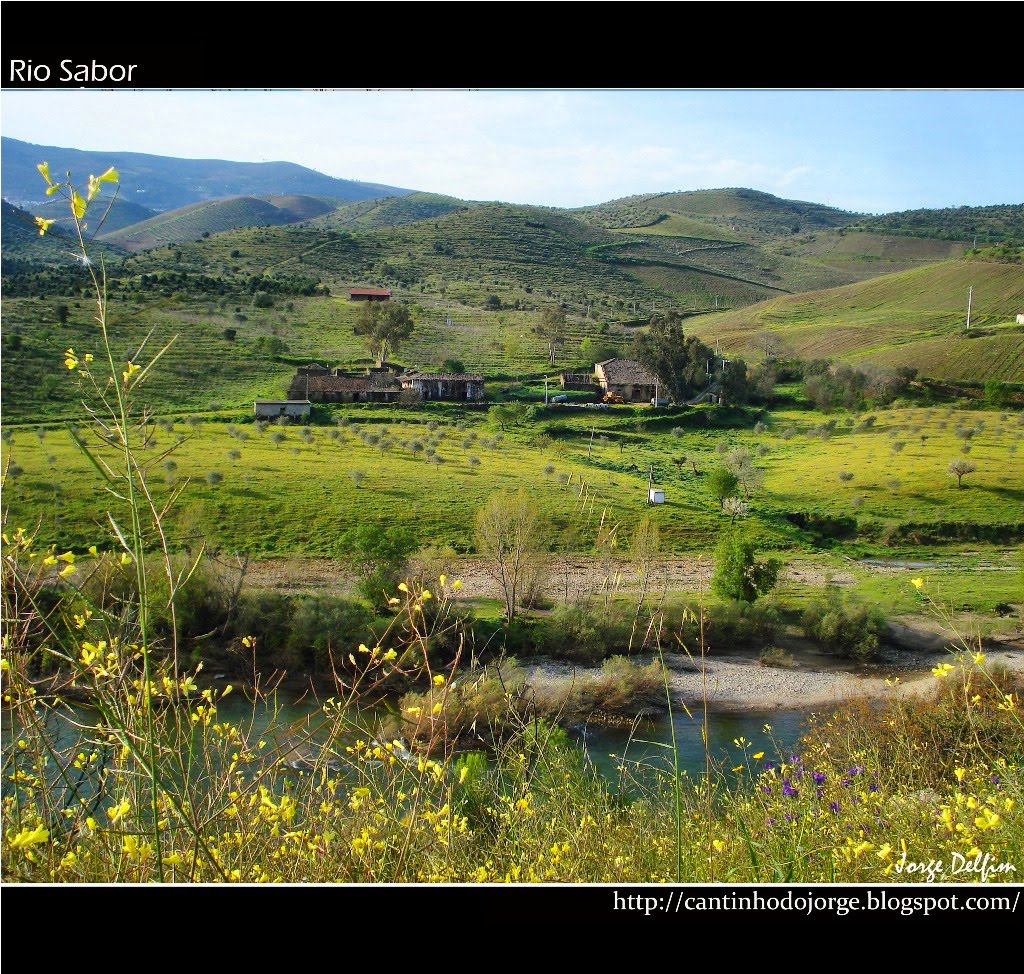 O CANTINHO DO JORGE: Caminhada no Rio Sabor